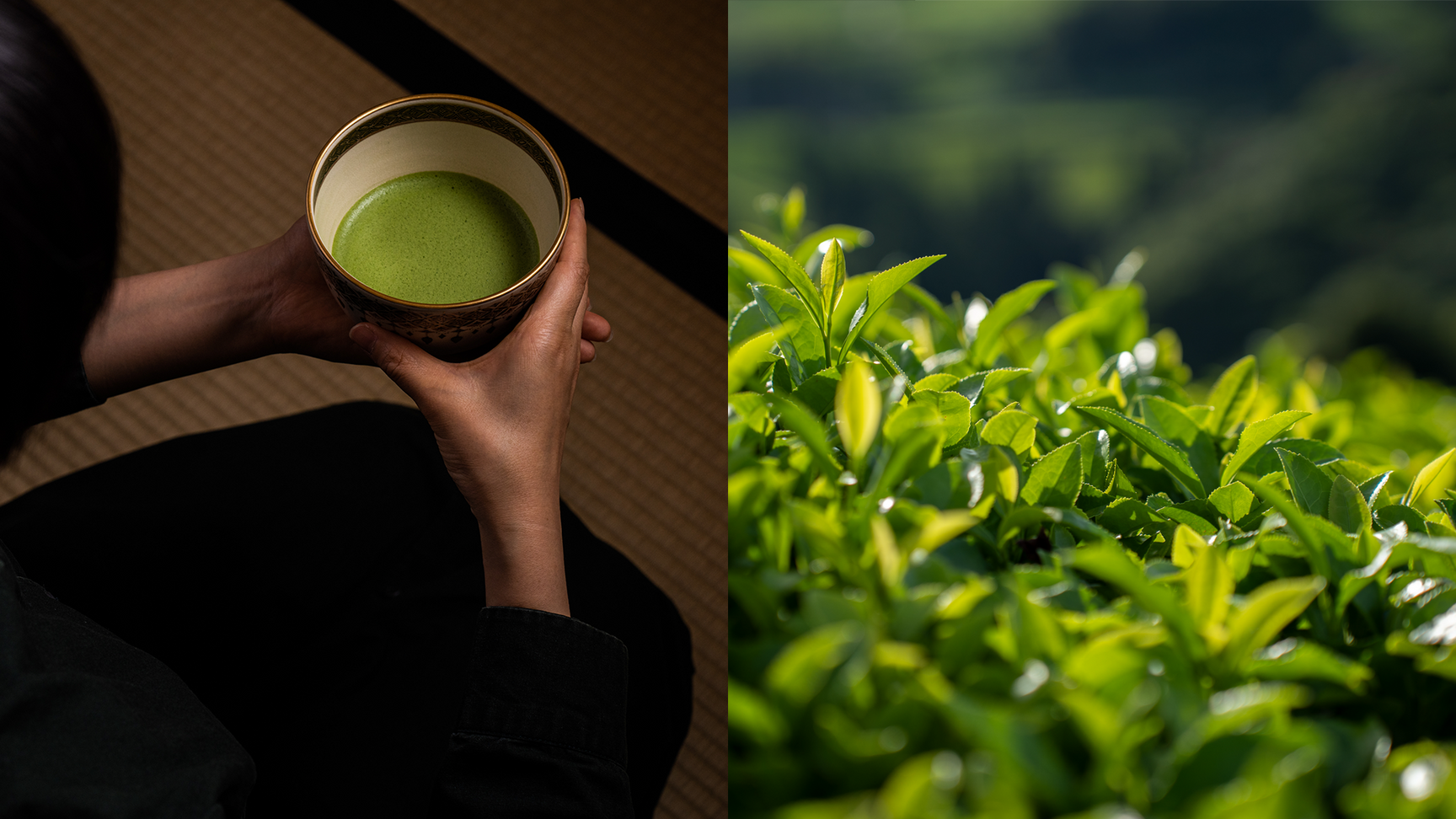 Fukujuen | Shop Japanese Green Tea | Since 1790 – Fukujuen Global ...